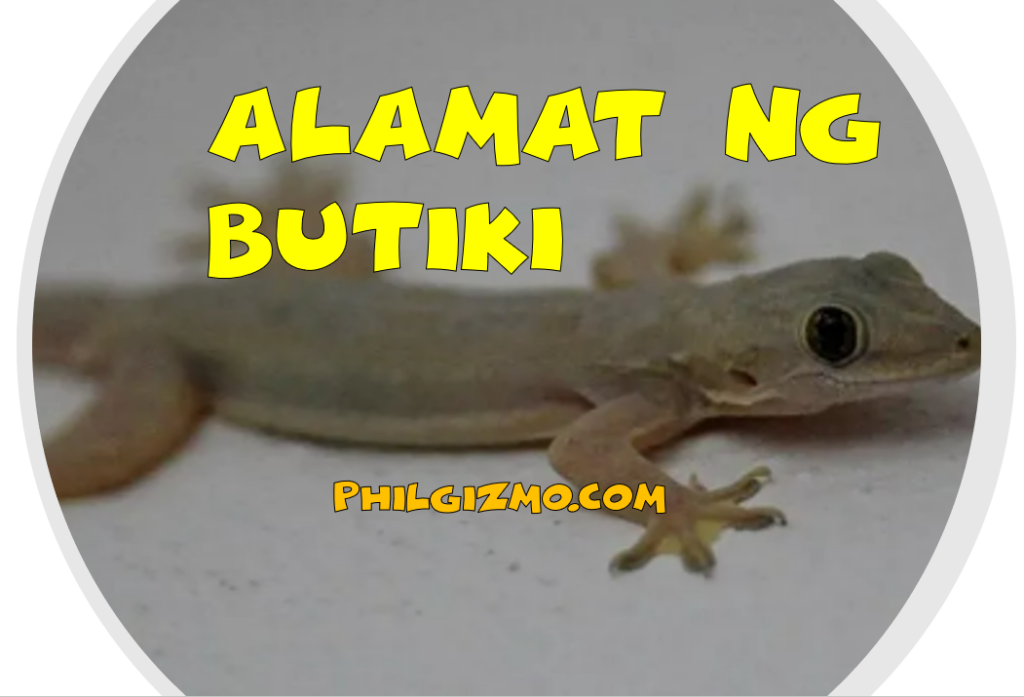 Alamat ng Butiki (Summary) - PhilGizmo.com